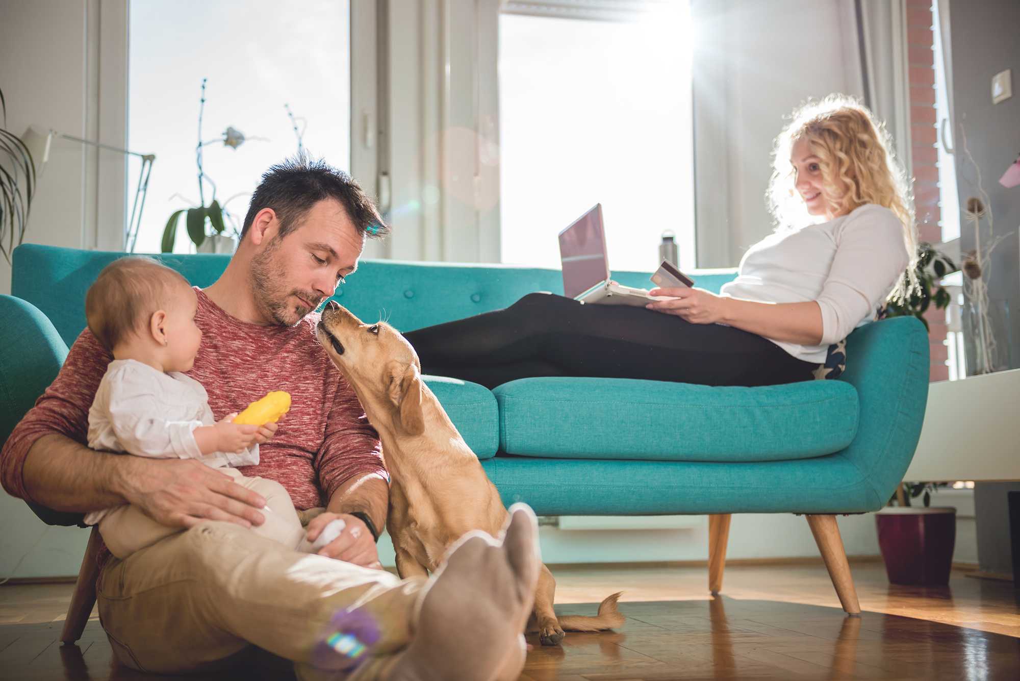 Individual and Family | eHealth Resource Center